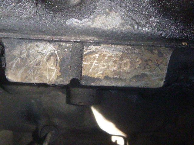 USED GASOLINE/LPG FORKLIFT TCM FG25N5 31G55384 (F.UCHIYAMA & CO.,LTD.)