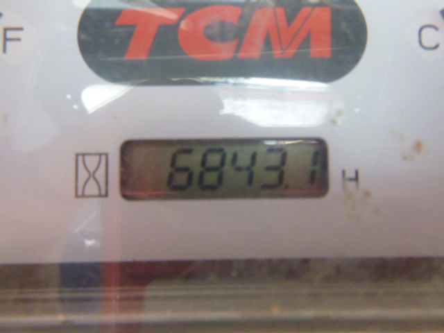 USED SKID STEERING LOADER TCM 707 56S01669 (F.UCHIYAMA & CO.,LTD.)